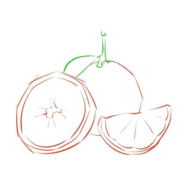 橙子简笔画怎么画_橙子简笔画步骤-第2张图片-山城妙识 橙子简笔画怎么画_橙子简笔画步骤-第2张图片-山城妙识