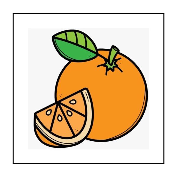 橙子简笔画怎么画_橙子简笔画步骤-第3张图片-山城妙识 橙子简笔画怎么画_橙子简笔画步骤-第3张图片-山城妙识