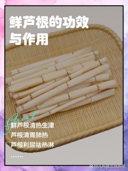 鲜芦根长什么样_鲜芦根怎么辨别真假-第3张图片-山城妙识 鲜芦根长什么样_鲜芦根怎么辨别真假-第3张图片-山城妙识