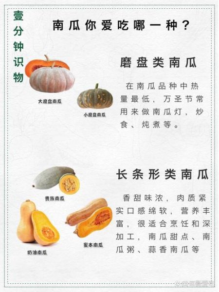 南瓜和北瓜哪个营养高_南瓜和北瓜的区别-第1张图片-山城妙识