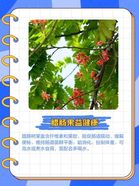 香肠树app邀请码怎么获取_香肠树app邀请码有什么用-第2张图片-山城妙识 香肠树app邀请码怎么获取_香肠树app邀请码有什么用-第2张图片-山城妙识