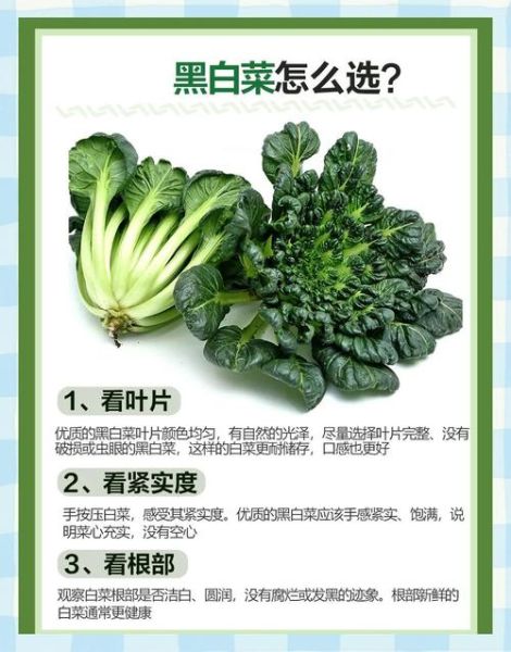 黑白菜怎么炒好吃_黑白菜营养价值-第1张图片-山城妙识 黑白菜怎么炒好吃_黑白菜营养价值-第1张图片-山城妙识