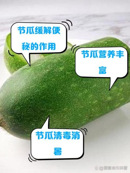 毛节瓜的功效与作用_毛节瓜怎么吃最降火-第3张图片-山城妙识 毛节瓜的功效与作用_毛节瓜怎么吃最降火-第3张图片-山城妙识