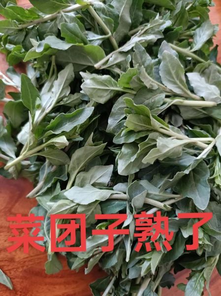菜菜子是什么_菜菜子怎么做最好吃-第3张图片-山城妙识 菜菜子是什么_菜菜子怎么做最好吃-第3张图片-山城妙识