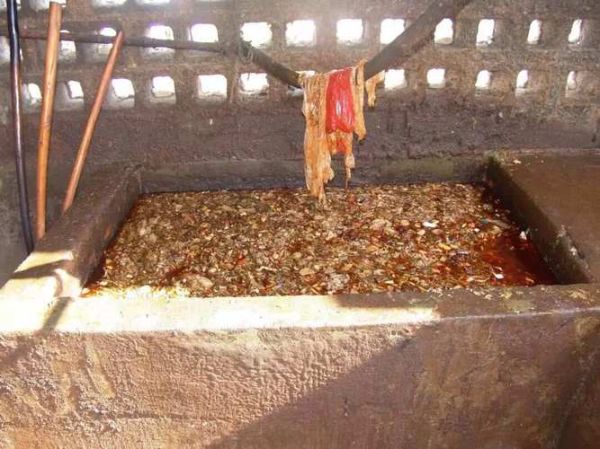 地沟油是什么_地沟油对人体有哪些危害-第1张图片-山城妙识 地沟油是什么_地沟油对人体有哪些危害-第1张图片-山城妙识