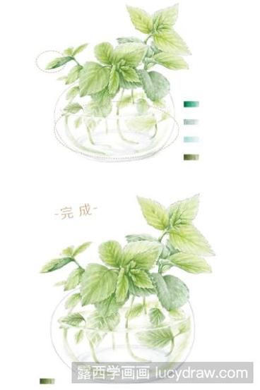 薄荷叶简笔画怎么画_薄荷叶图片简笔画教程-第3张图片-山城妙识 薄荷叶简笔画怎么画_薄荷叶图片简笔画教程-第3张图片-山城妙识