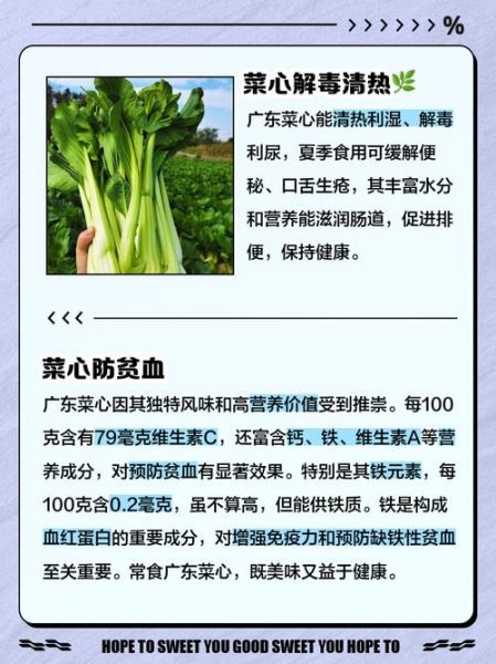 菜心的营养价值及功效与作用_菜心适合什么人吃-第1张图片-山城妙识 菜心的营养价值及功效与作用_菜心适合什么人吃-第1张图片-山城妙识