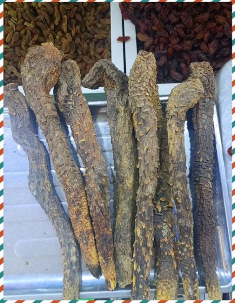 苁蓉怎么读_苁蓉的功效与作用-第3张图片-山城妙识 苁蓉怎么读_苁蓉的功效与作用-第3张图片-山城妙识