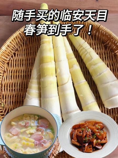 新鲜竹笋怎么做好吃_需要焯水吗-第2张图片-山城妙识 新鲜竹笋怎么做好吃_需要焯水吗-第2张图片-山城妙识