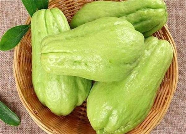 佛手瓜需要削皮吃吗_佛手瓜皮可以吃吗-第3张图片-山城妙识 佛手瓜需要削皮吃吗_佛手瓜皮可以吃吗-第3张图片-山城妙识