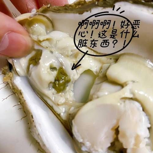 生蚝里面像屎一样的东西是什么_能吃吗-第1张图片-山城妙识 生蚝里面像屎一样的东西是什么_能吃吗-第1张图片-山城妙识