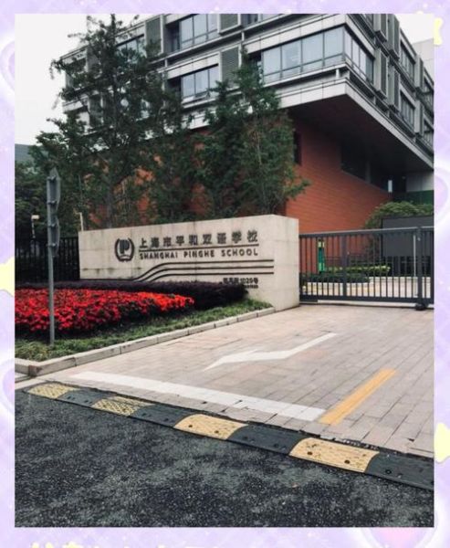 上海青浦平和双语学校怎么样_学费多少-第1张图片-山城妙识