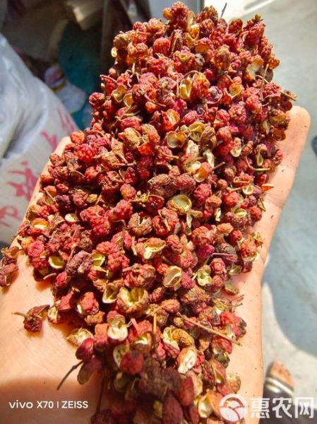 韩城大红袍花椒多少钱一斤_如何辨别真假-第2张图片-山城妙识 韩城大红袍花椒多少钱一斤_如何辨别真假-第2张图片-山城妙识