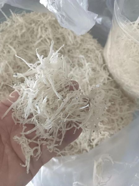 新鲜银鱼干多少钱一斤_如何挑选优质银鱼干-第3张图片-山城妙识 新鲜银鱼干多少钱一斤_如何挑选优质银鱼干-第3张图片-山城妙识