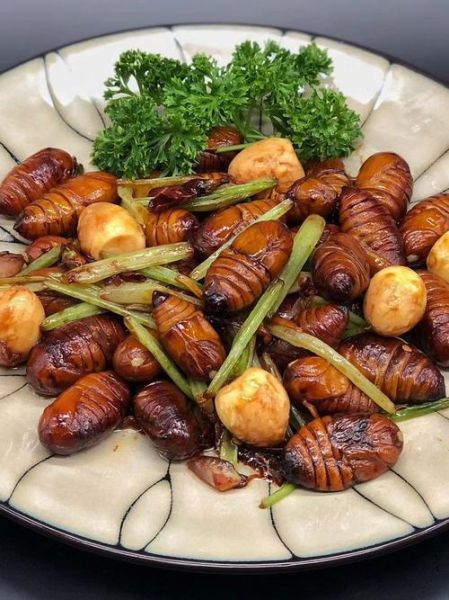 蚕蛹怎么做好吃_蚕蛹最简单的家常做法-第2张图片-山城妙识 蚕蛹怎么做好吃_蚕蛹最简单的家常做法-第2张图片-山城妙识