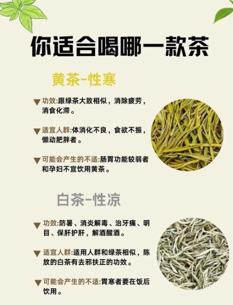 六大名茶是什么茶_六大茶类区别与功效-第2张图片-山城妙识 六大名茶是什么茶_六大茶类区别与功效-第2张图片-山城妙识