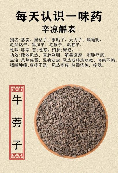 牛蒡子的功效与作用_牛蒡子能长期吃吗-第2张图片-山城妙识