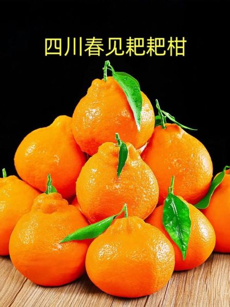 2021最火柑橘品种有哪些_新品种口感如何-第1张图片-山城妙识 2021最火柑橘品种有哪些_新品种口感如何-第1张图片-山城妙识