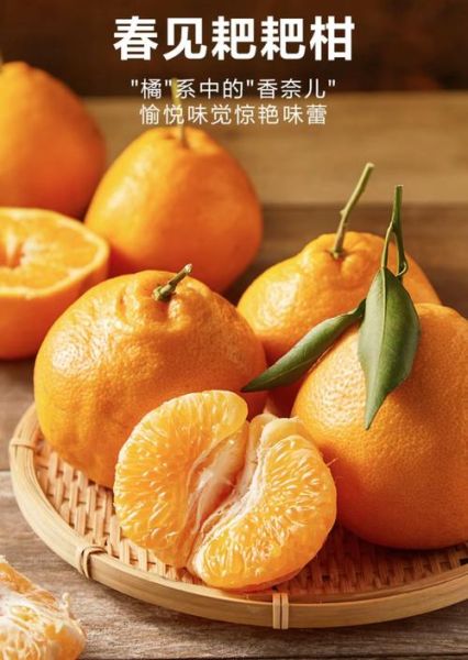 2021最火柑橘品种有哪些_新品种口感如何-第3张图片-山城妙识 2021最火柑橘品种有哪些_新品种口感如何-第3张图片-山城妙识