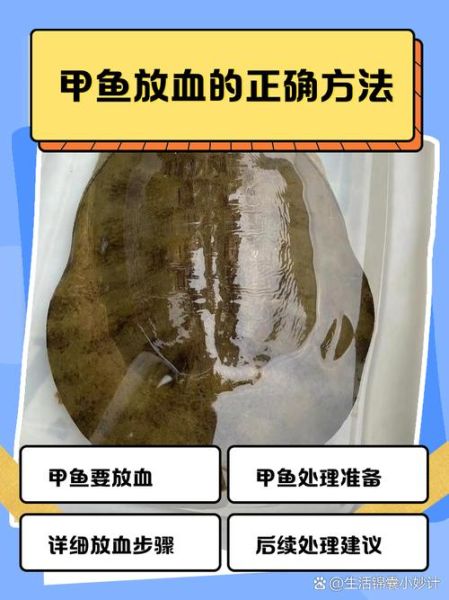 甲鱼血怎么喝壮阳_甲鱼血壮阳的正确喝法-第1张图片-山城妙识 甲鱼血怎么喝壮阳_甲鱼血壮阳的正确喝法-第1张图片-山城妙识