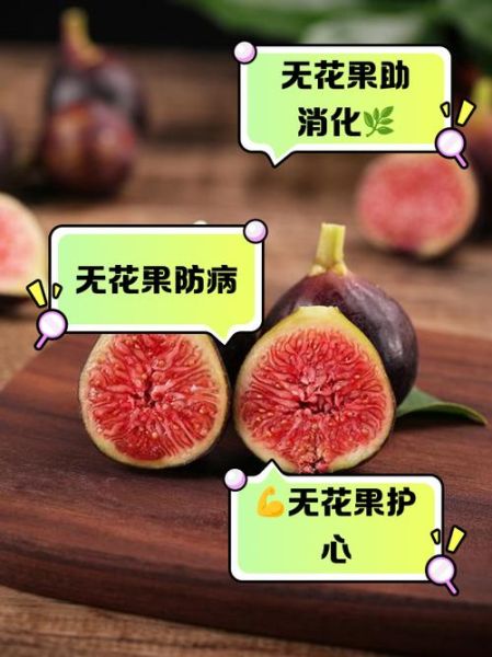 孕妇可以吃无花果吗_无花果对胎儿的好处-第3张图片-山城妙识