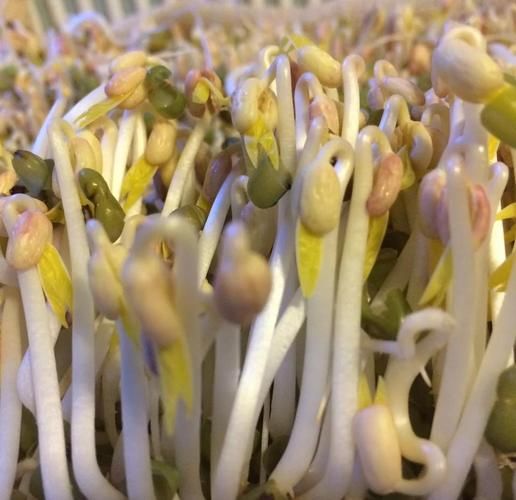 豆芽姐姐手工坊视频合集_适合零基础的手工教程有哪些-第3张图片-山城妙识 豆芽姐姐手工坊视频合集_适合零基础的手工教程有哪些-第3张图片-山城妙识