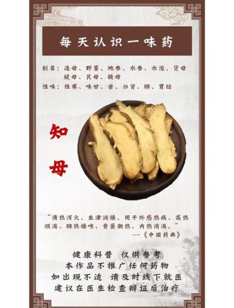 知母的功效与作用有哪些_知母主治什么病-第2张图片-山城妙识 知母的功效与作用有哪些_知母主治什么病-第2张图片-山城妙识