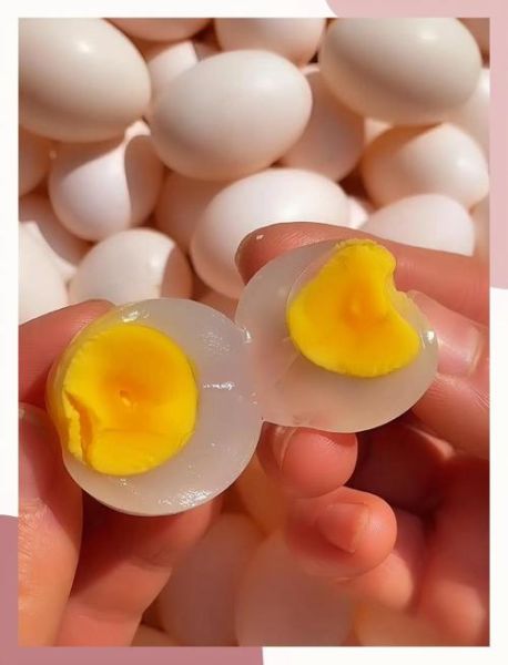 鸽子蛋营养价值高吗_孕妇能吃吗-第3张图片-山城妙识 鸽子蛋营养价值高吗_孕妇能吃吗-第3张图片-山城妙识