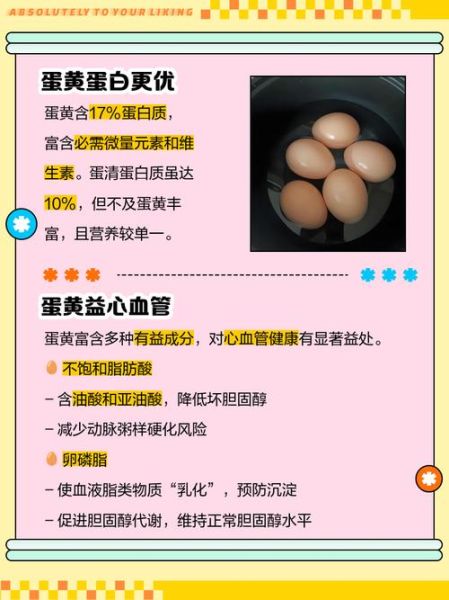 蛋清蛋黄哪个营养价值高_健身增肌选哪个-第1张图片-山城妙识