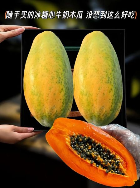 木瓜牛奶的功效与作用_木瓜牛奶可以丰胸吗-第3张图片-山城妙识