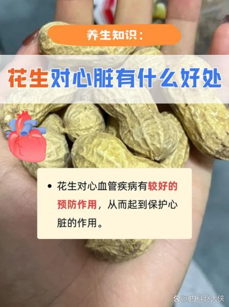 花生的营养价值_吃花生有什么好处-第3张图片-山城妙识