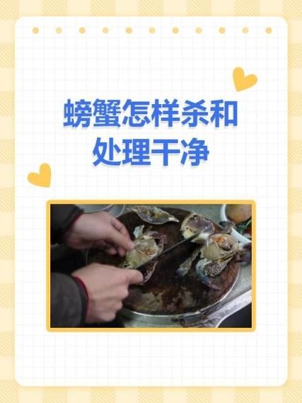 螃蟹怎么清理干净_活蟹处理步骤-第3张图片-山城妙识