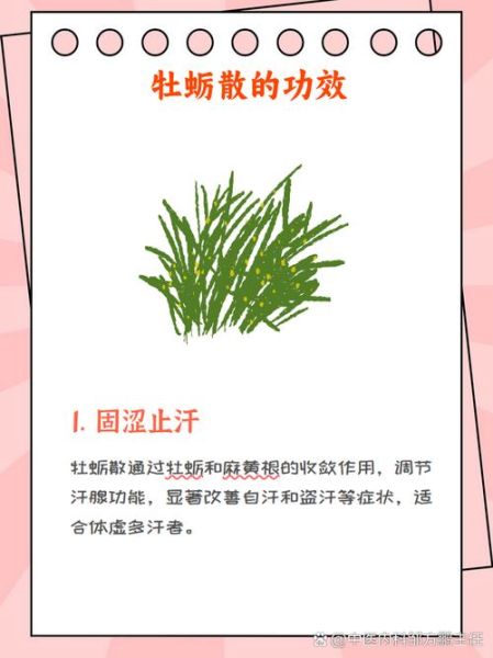 牡蛎散的功效与作用_牡蛎散适合什么人吃-第3张图片-山城妙识