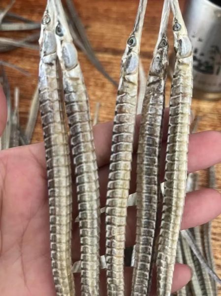 海龙多少钱一克_海龙价格行情-第1张图片-山城妙识