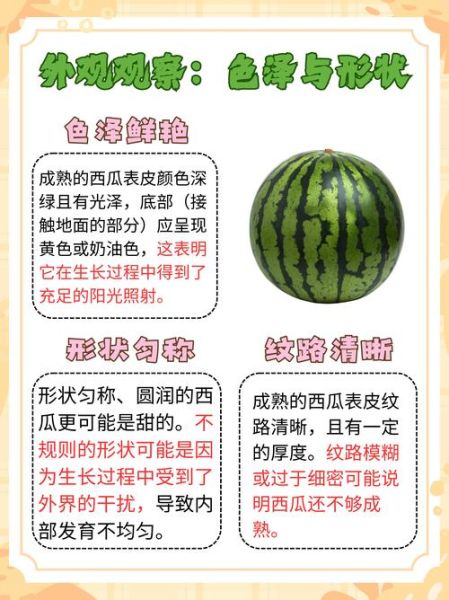 西瓜的营养价值有哪些_西瓜的功效与作用适合什么人吃-第3张图片-山城妙识