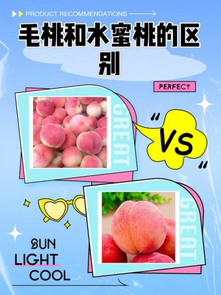 毛桃怎么吃_毛桃和油桃区别-第1张图片-山城妙识 毛桃怎么吃_毛桃和油桃区别-第1张图片-山城妙识