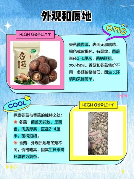 香菇和冬菇是同一种东西吗_区别与选购指南-第1张图片-山城妙识