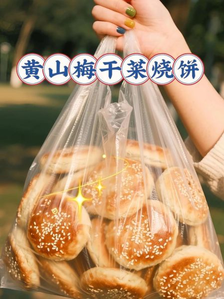 霉干菜烧饼怎么不写了_作者停更原因-第1张图片-山城妙识