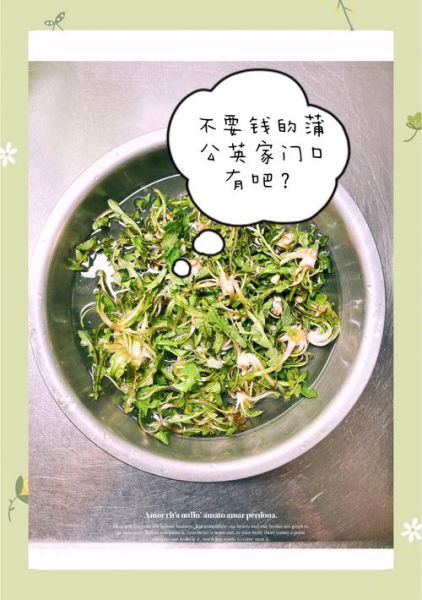蒲公英的吃法有哪些_蒲公英怎么吃最好-第2张图片-山城妙识
