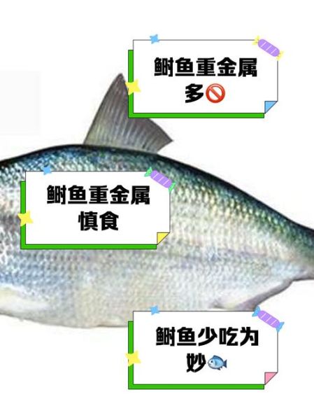 鲥鱼为什么那么多刺_鲥鱼刺怎么挑干净-第1张图片-山城妙识