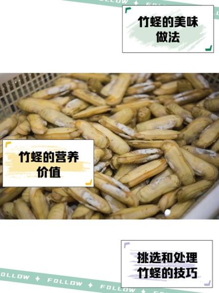 大竹蛏怎么挑选_大竹蛏和竹蛏区别-第1张图片-山城妙识