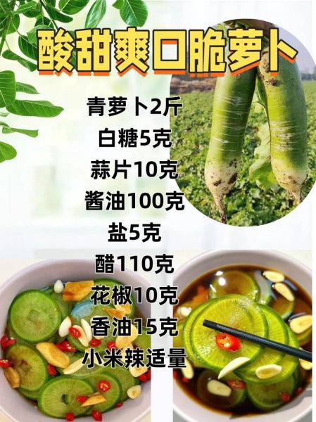 酸甜爽口脆萝卜怎么做_家常腌萝卜秘诀-第3张图片-山城妙识