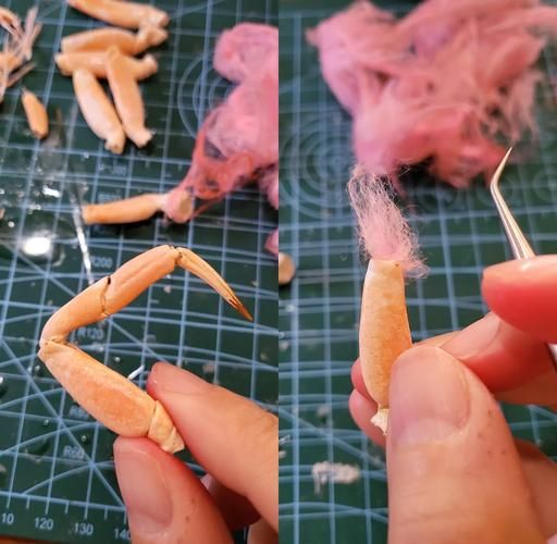 螃蟹标本怎么做_螃蟹标本制作步骤-第1张图片-山城妙识