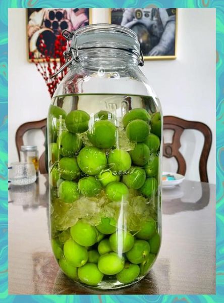 酒酿小青梅_小花喵写作技巧-第3张图片-山城妙识