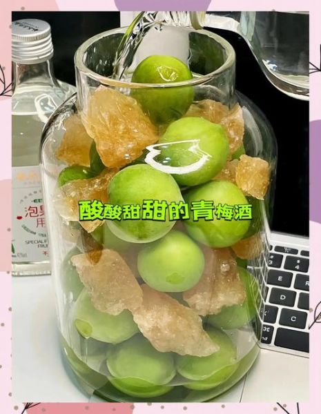 酒酿小青梅_小花喵写作技巧-第1张图片-山城妙识