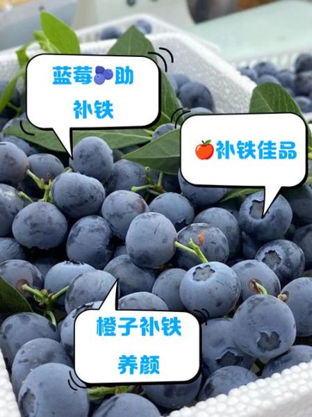 补铁补血的水果有哪些_孕妇吃什么水果补血最快-第2张图片-山城妙识