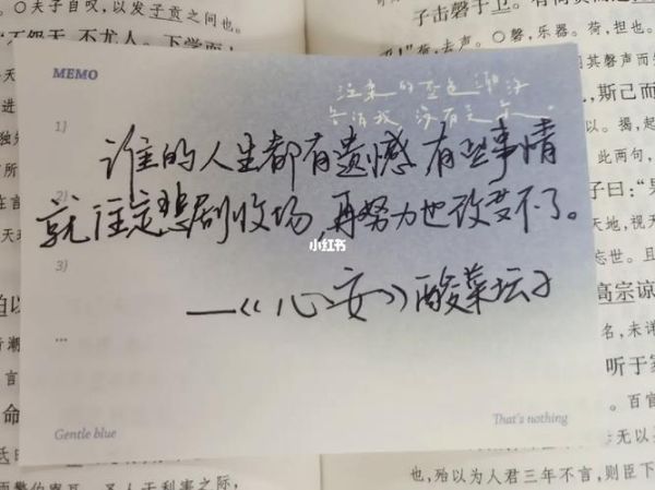 酸菜坛子作品集心安讲了什么_如何理解心安主题-第1张图片-山城妙识