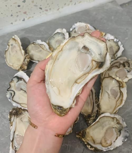 生蚝高清图片素材哪里找_如何挑选优质素材-第1张图片-山城妙识 生蚝高清图片素材哪里找_如何挑选优质素材-第1张图片-山城妙识