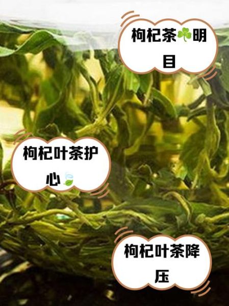 枸杞叶茶的功效与作用_枸杞叶茶怎么泡最好喝-第1张图片-山城妙识 枸杞叶茶的功效与作用_枸杞叶茶怎么泡最好喝-第1张图片-山城妙识