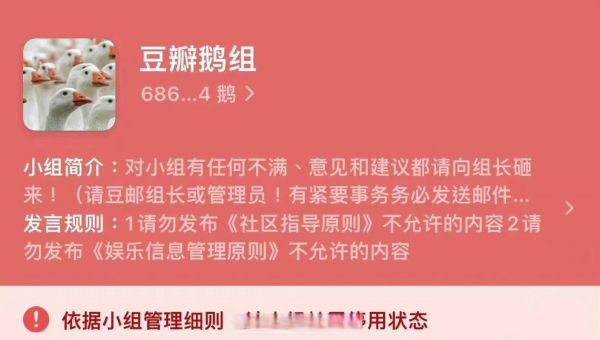豆瓣鹅组怎么进_豆瓣鹅组被封了吗-第3张图片-山城妙识 豆瓣鹅组怎么进_豆瓣鹅组被封了吗-第3张图片-山城妙识